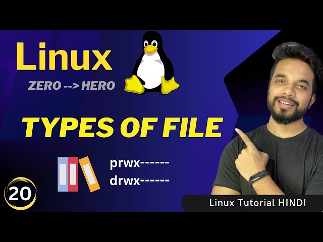 Understanding the Different Types of Files in Linux | Galaxy.ai