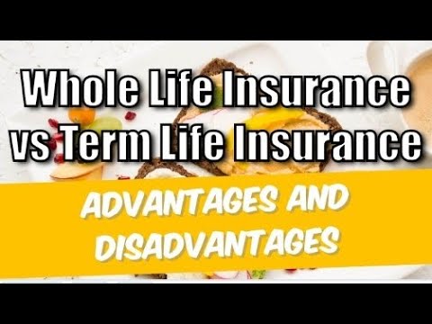 Whole Life Insurance vs Term Life Insurance | Advantages and Disadvantages | techi villa