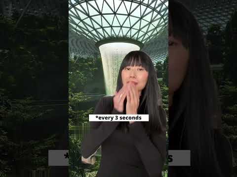 Culture Shocks I Had in Singapore