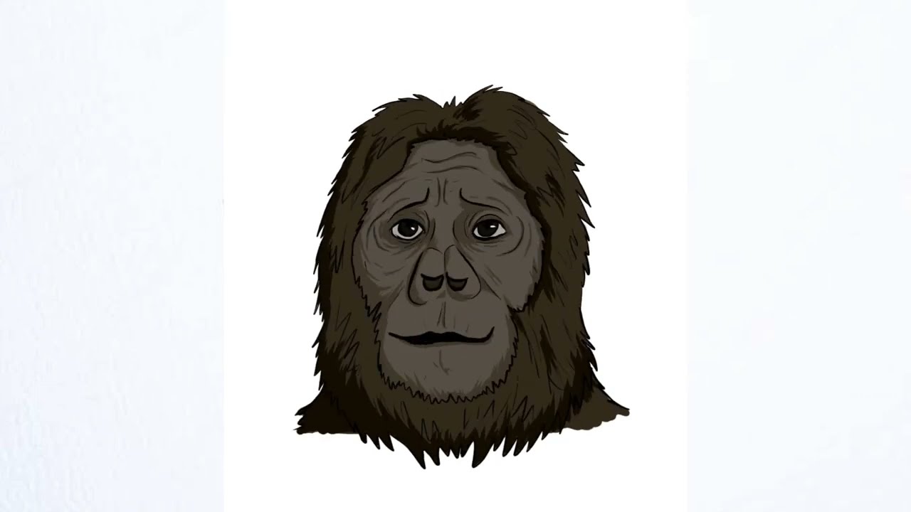 Evolution of Man (2d hand drawn)