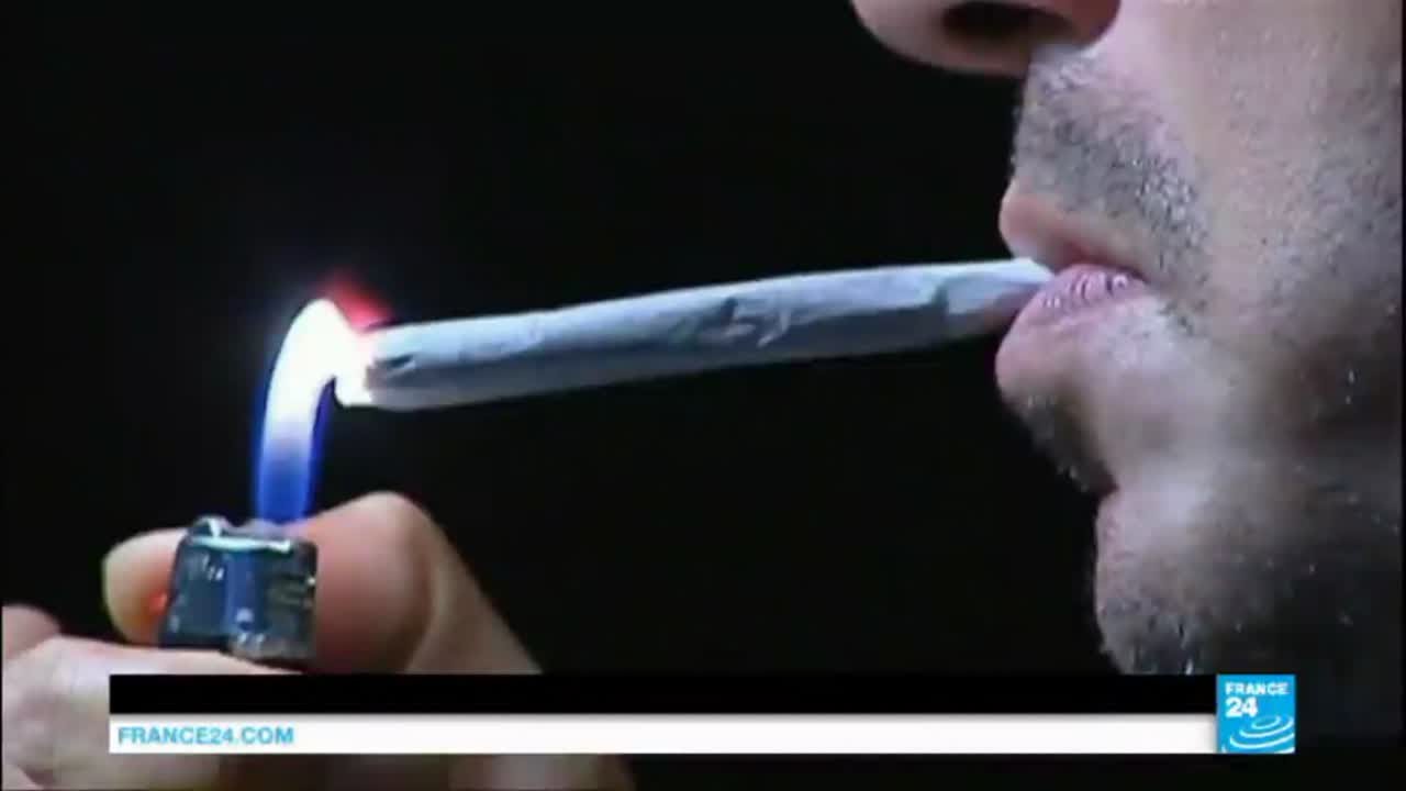 France : faut-il dépénaliser le cannabis ?