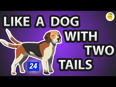 Like A Dog With Two Tails Meaning|Most Common English Idioms(Easy to Use in Daily Conversations)|#24