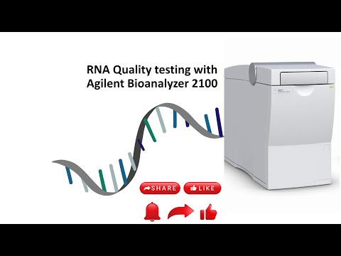 Laboratory Equipments and Laboratory Instruments Service Provider ...