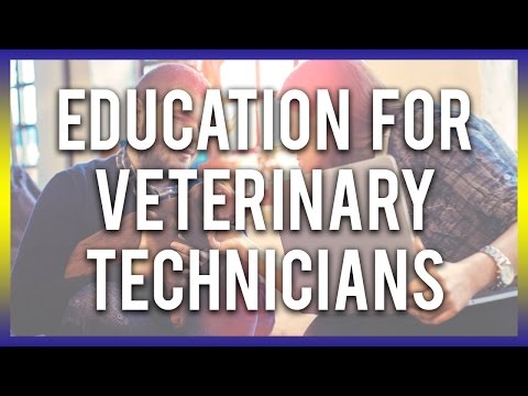 Education for Veterinary Technicians – Veterinary Continuing Education