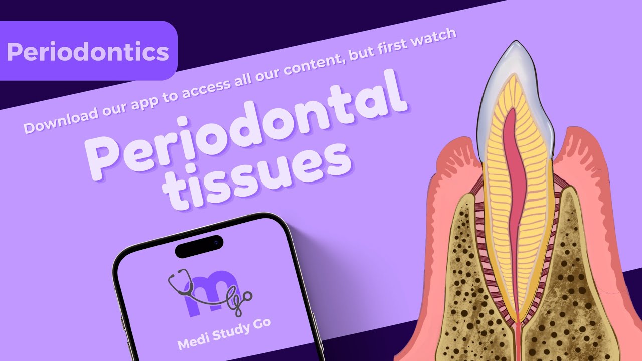 Periodontal tissues