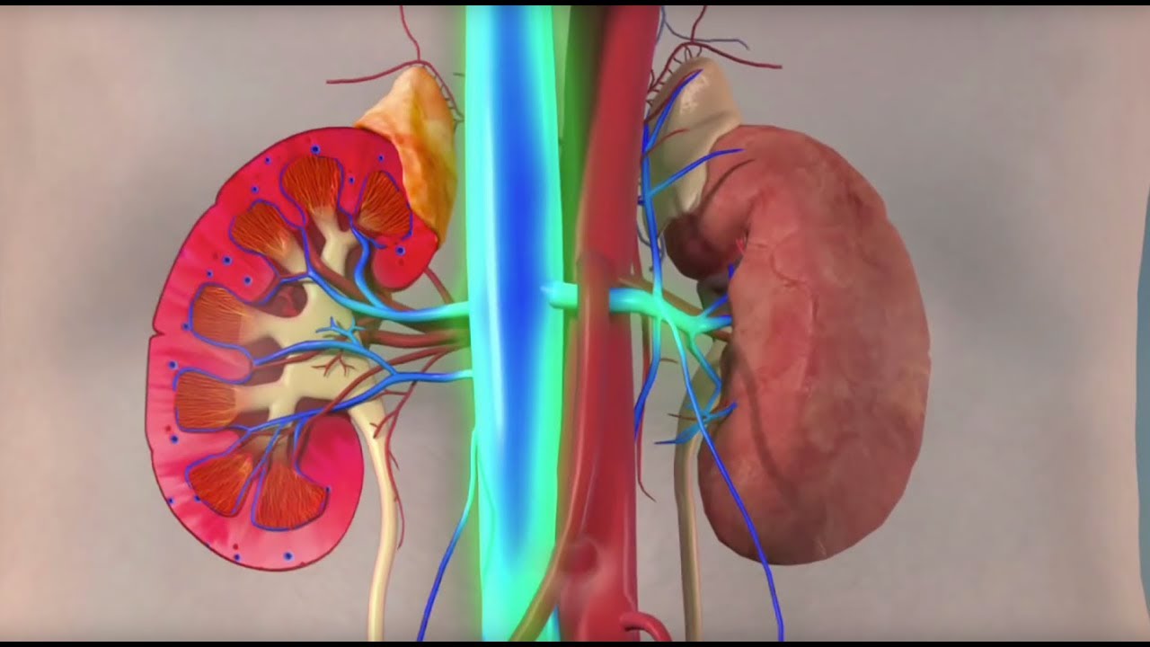Rhabdomyolysis - Mayo Clinic