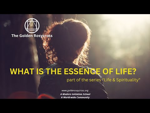 What is the Essence of Life