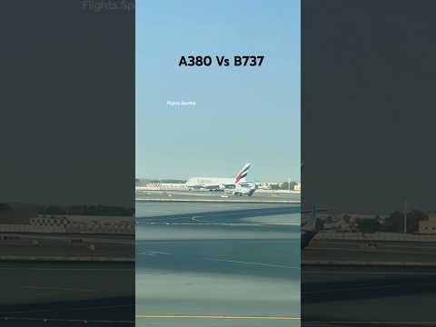 Size of A380 and B737 😳 #emirates #a380 #flydubai #b737 #dubai #airport #shorts