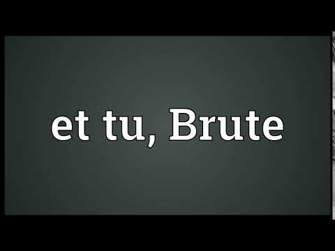 Et tu, Brute Meaning | Wordogram