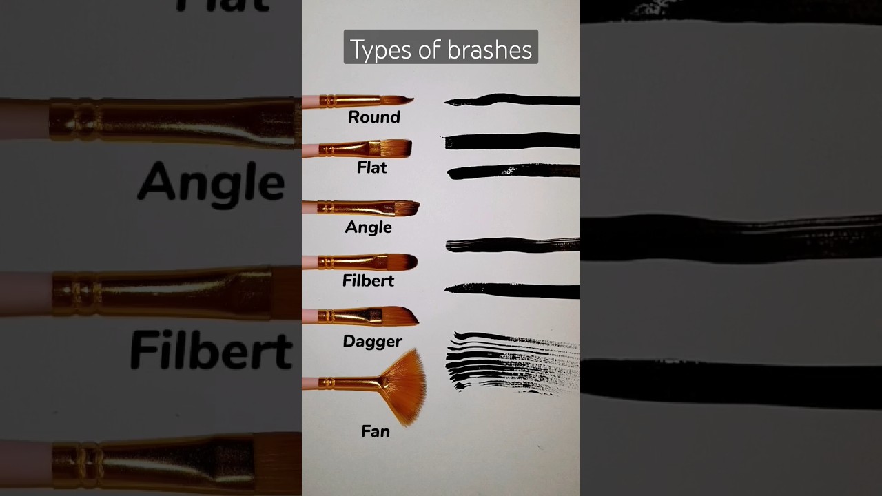 Types of painting brushes 🎨🖌️ #brush #painting #art #artist #drawing #learning #type #how #shorts