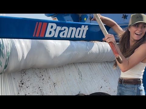 Thousands of Bushels of Beans?!