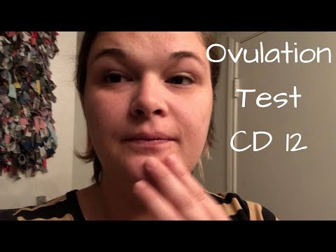 Ovulation Test Cycle Day 12