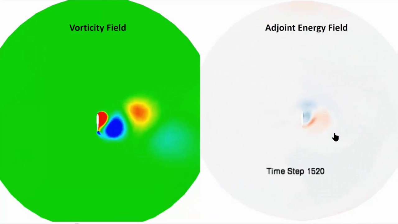 Shadowing adjoint for CFD solutions