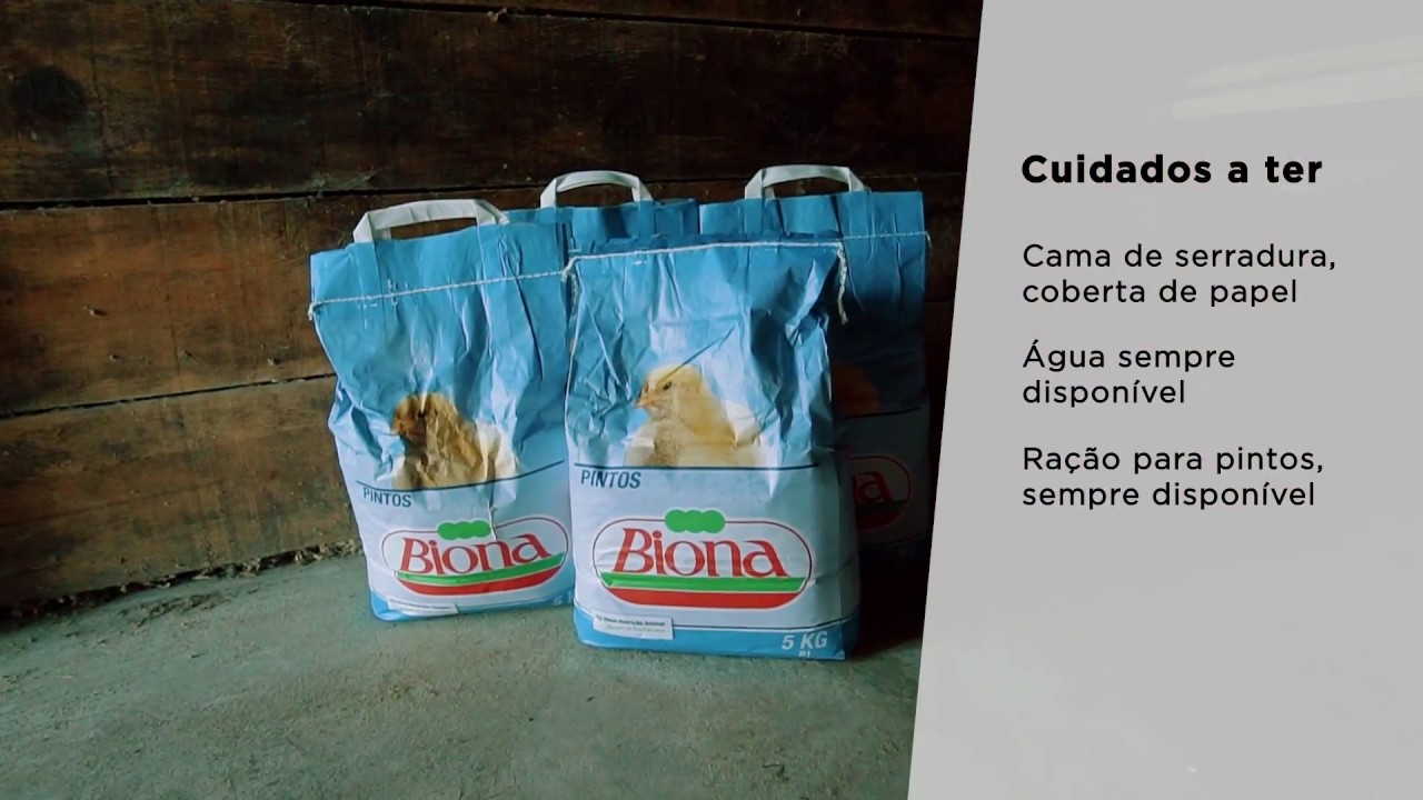 Biona Nutrição Animal - Biona PT