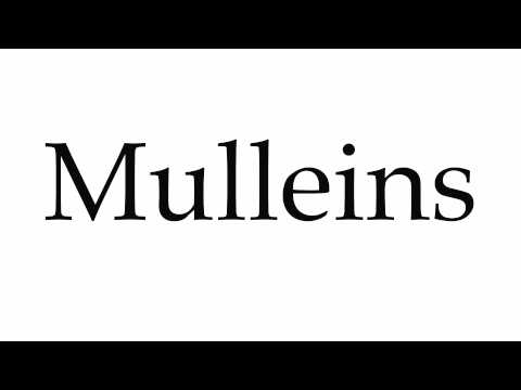 How to Pronounce Mulleins