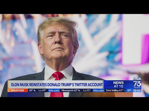 Elon Musk reinstates Donald Trump's Twitter account following poll