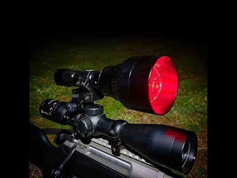 Z Vision DN 303 Review
