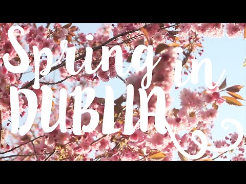 7 Things to Do in Dublin this Spring | Video | The Art of Exploring