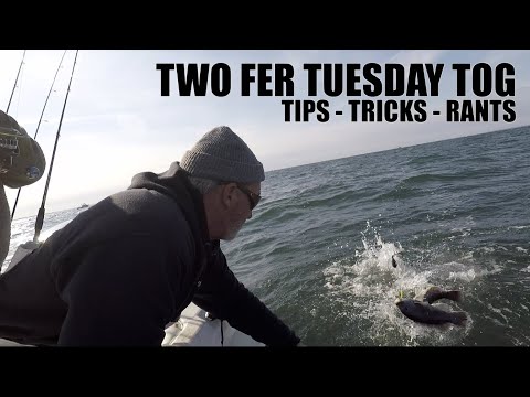 BLACKFISH - TAUTOG TIPS , 2 FOR ONE !!
