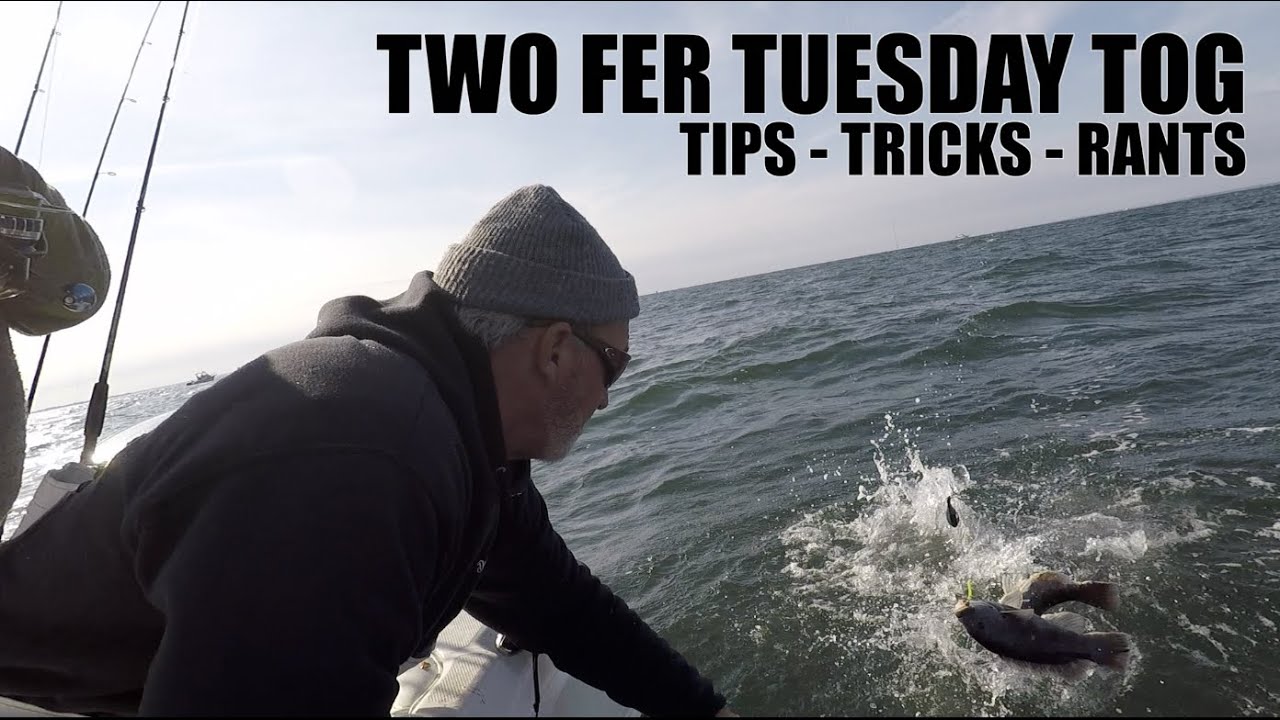 BLACKFISH - TAUTOG TIPS , 2 FOR ONE !!