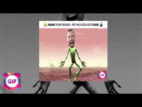 Funny Gif Video Memes