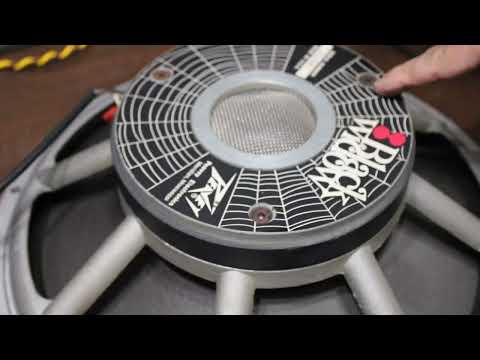 Vintage Peavey BW 1501-4 - 1st Generation Black Widow 15" Pedal Steel Speaker Restoration
