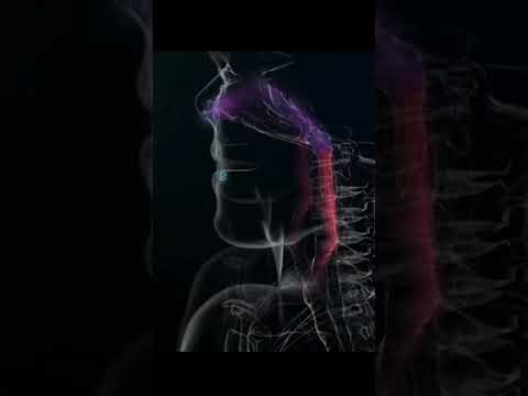 AIR WAY IN SPANISH | Medical Consecutive Interpreting