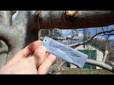 Aluminum Impression Permanent Plant and Tree Tags Review