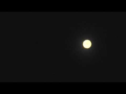 Nikon coolpix P900 - VรNUS video