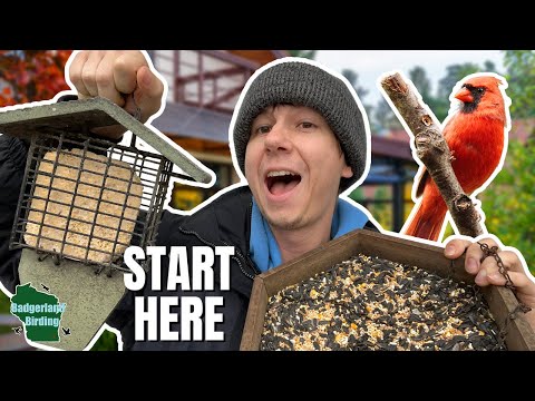 Bird Feeding 101: The ULTIMATE Beginner's Guide to Backyard Bird Feeding