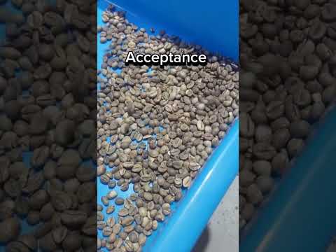 Sortex Machine - Rice Sortex Machine Latest Price, Manufacturers ...