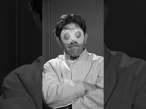 The THREE STOOGES have their sunny side up #threestooges #3stooges #comedy