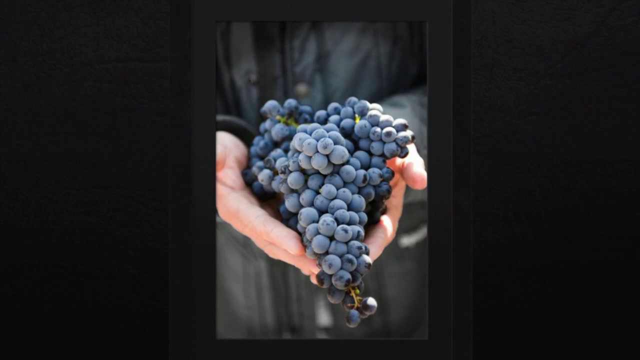 Jacqueline Leonne Rose