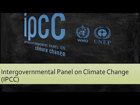 Intergovernmental Panel on Climate Change(IPCC)