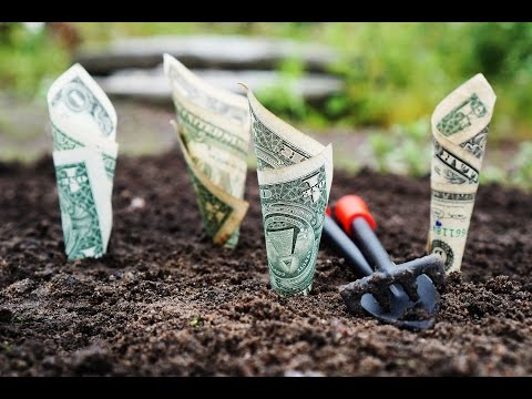How long for your investment to grow? (Financial Calculator HP 10bii)