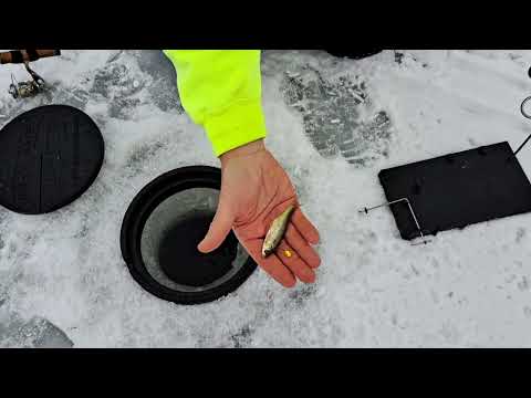Original Finicky Fooler Tip-Up Setup - 2023