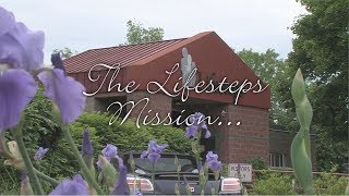 Working At Lifesteps: Company Overview and Culture - Zippia