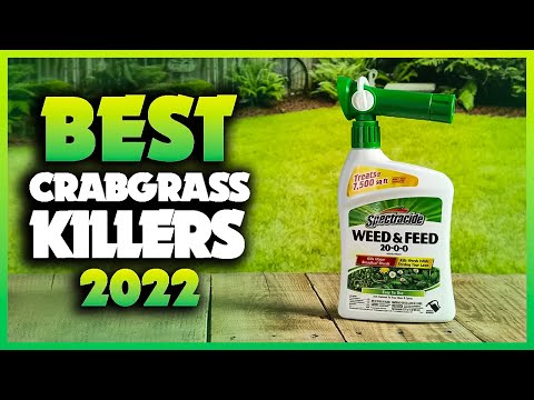 Top 5 Best Crabgrass Killers You can Buy Right Now [2023]