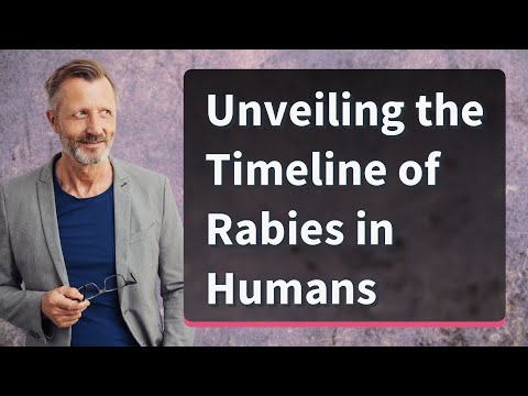 Unveiling the Timeline of Rabies in Humans