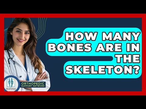 How Many Bones Are In The Skeleton? - Orthopedic Support Network