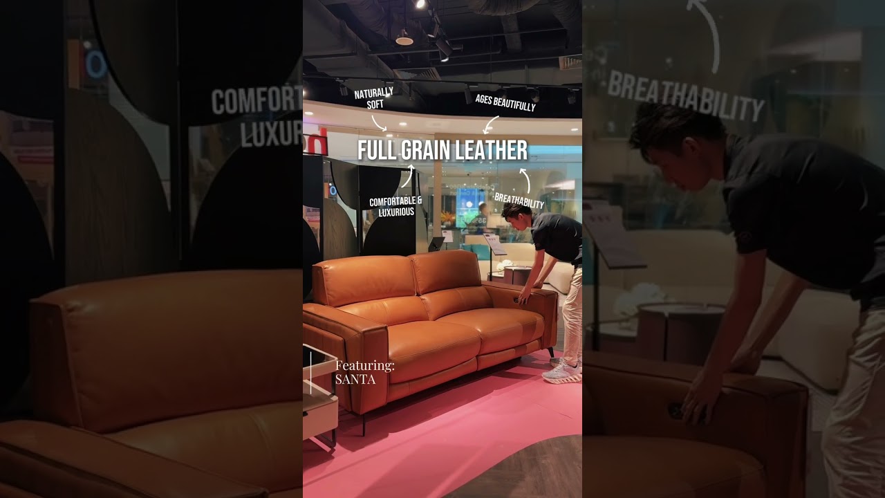 Watch this before you buy a leather sofa: Leather 101 at HomesToLife
