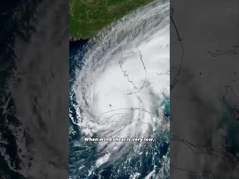 The Science Behind Hurricane Development
