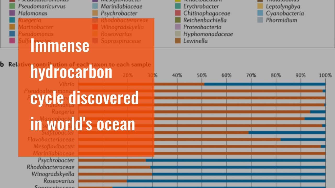 Immense hydrocarbon cycle discovered in world's ocean