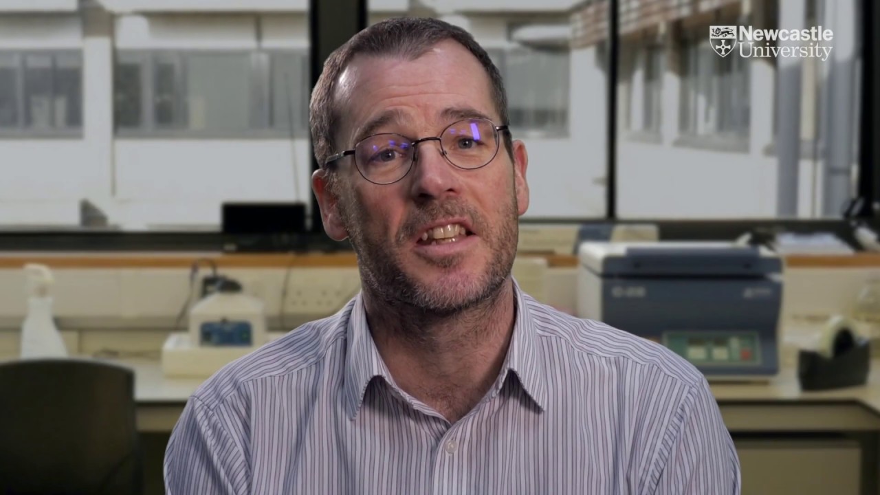 PBC video v04