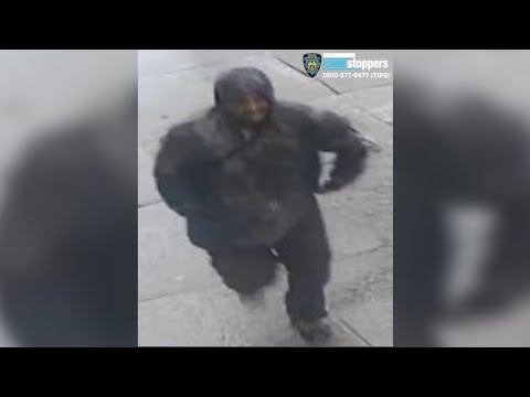 Police search for pistol-whip attacker in the Bronx