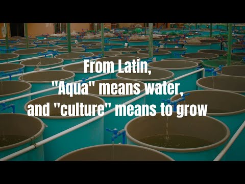 From Latin, "Aqua" means water, and "culture" means to grow