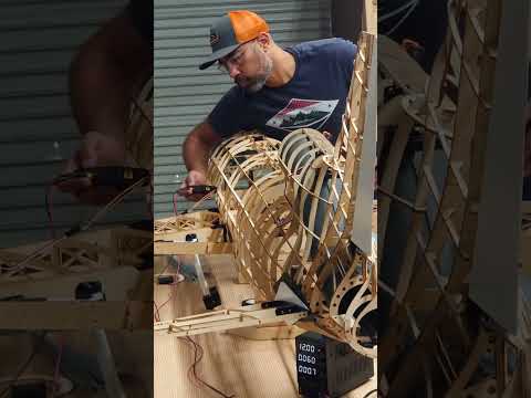 Main Landing Gear First Time Actuation Test for RC Airliner (3D Printed)
