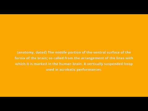 what is the meaning of lyra.