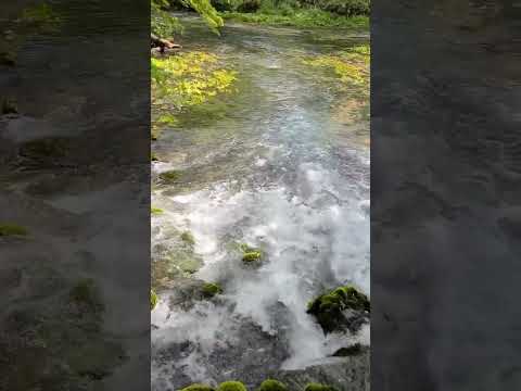 Mark Twain National Forest, springs #camping, #explore everywhere.