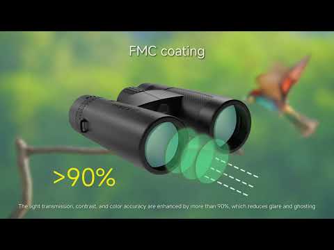 Best Budget Binoculars? SVBONY SV202ED 8x32/10x42 – Wide Angle, IPX7 Waterproof!